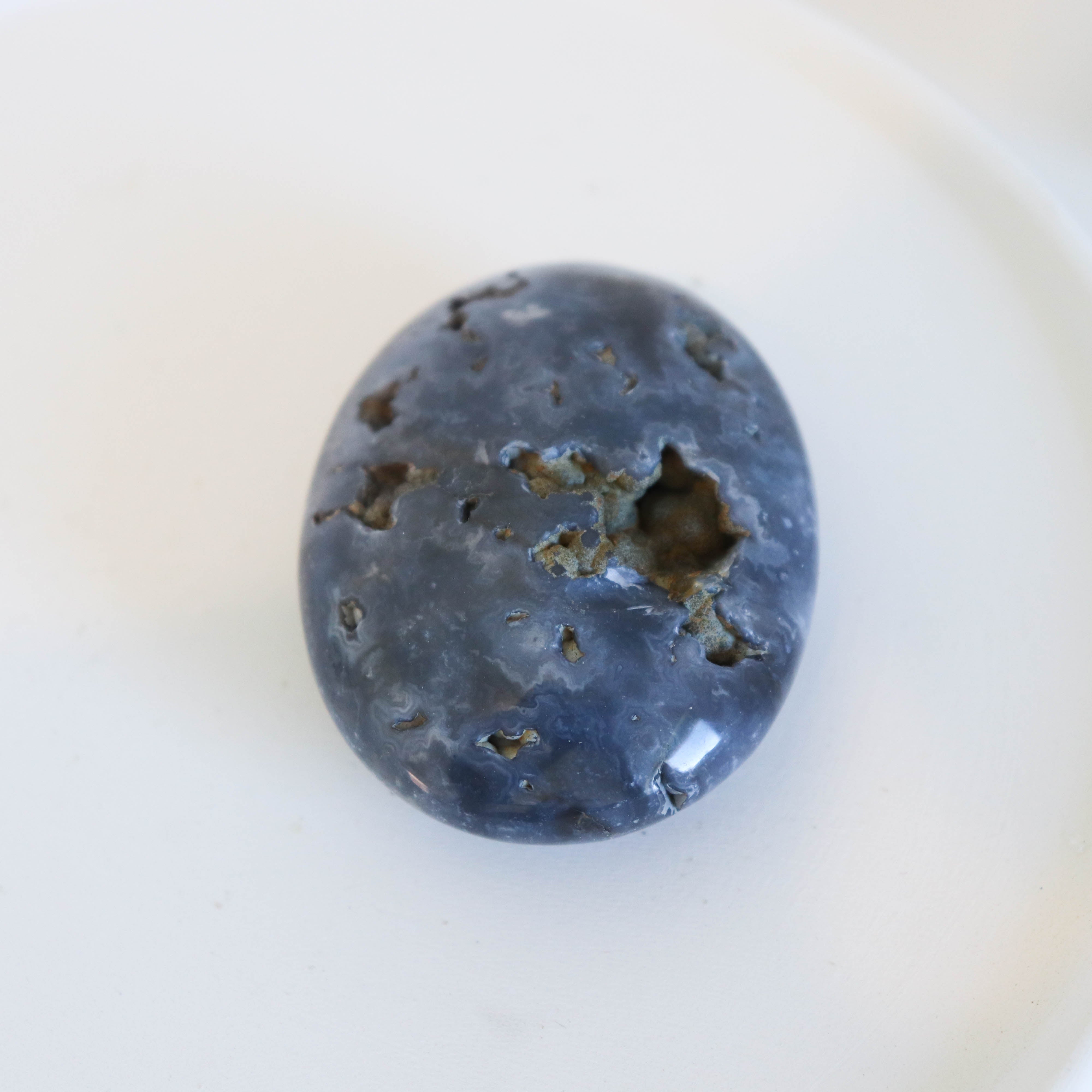 Blue Plume Palm #12 – Pretty Soul Stories